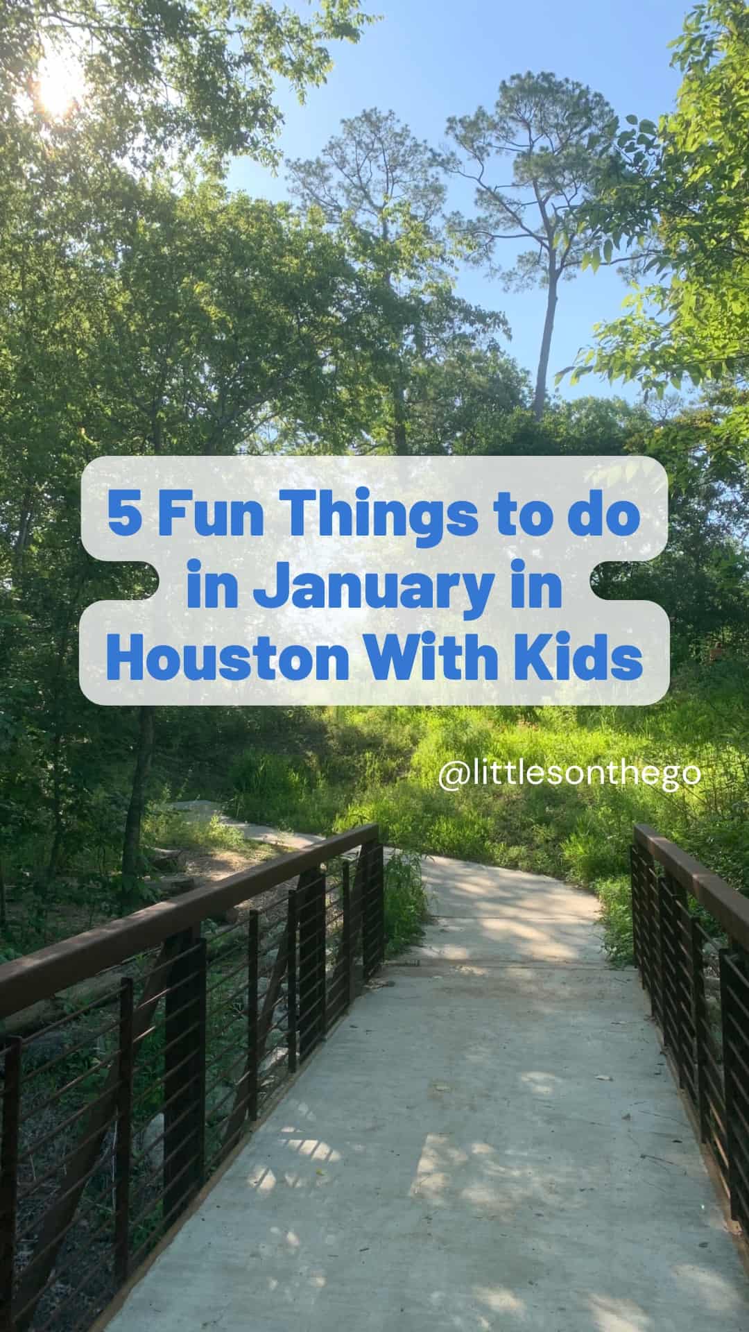 5 Fun Houston Things to Do in January with Kids - Littles On the Go