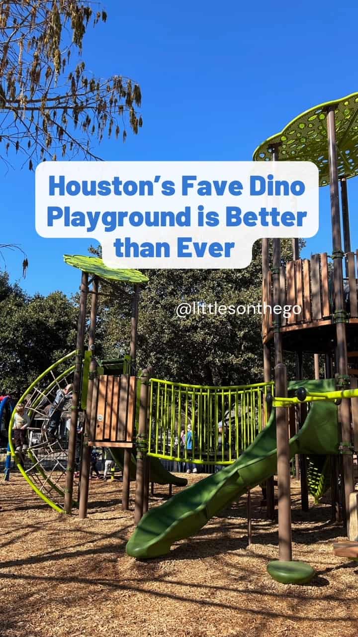 Houston's Favorite Dinosaur Playground is Better Than Ever! - Littles ...